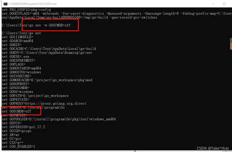 Go下载依赖报错：dial Tcp 34644113443 Connectex A Connection Attempt Failed Because The Connected