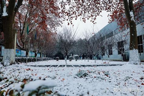 记天一的那场落雪 知乎