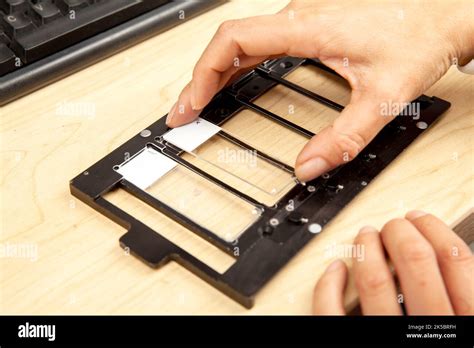 Scientist Scanning Microscope Slides With Tissue Samples For Pathology