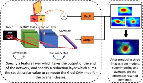 Ensemble Grad Cam Final Heat Map Is Produced By Superimposing And Download Scientific Diagram