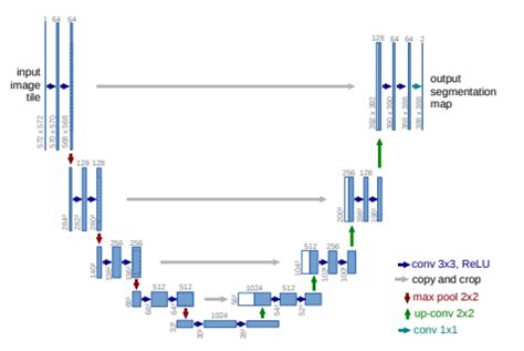 SS Ronneberger Et Al U Net Convolutional Networks For Biomedical Image Segmentation