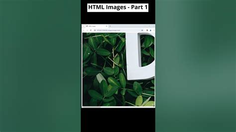 Unleash Your Creativity Html Image Tag Mastery Htmlintroduction