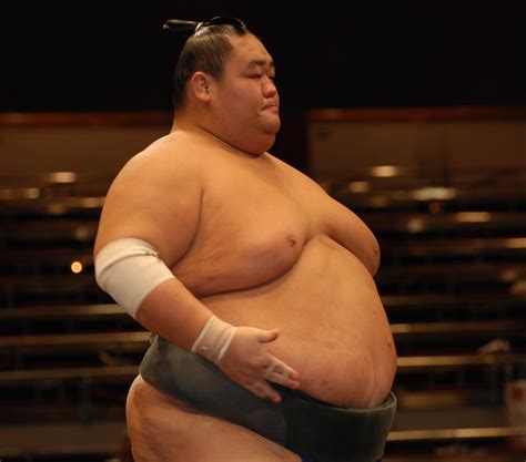 Body Fat Percentage Sumo Wrestler At Evelyn Lowman Blog