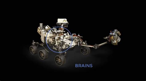 Planetario A Diferencia De Las Personas Y La Mayoría De