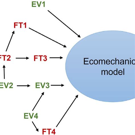 a new model to incorporate the dynamic attributes of fts in biology