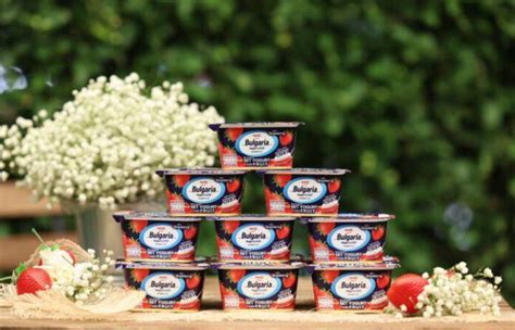 เมจิ บัลแกเรีย เปิดตัวผลิตภัณฑ์ใหม่ “โยเกิร์ต เมจิ บัลแกเรีย เซ็ทโยเกิร์ต แอนด์ฟรุ๊ต” เดอะพับ