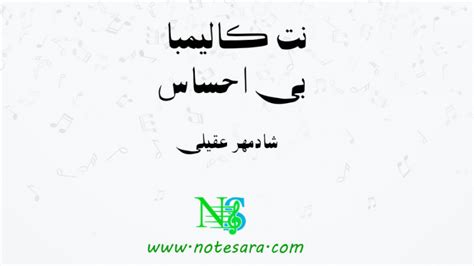 نت کالیمبا بی احساس از شادمهر عقیلی