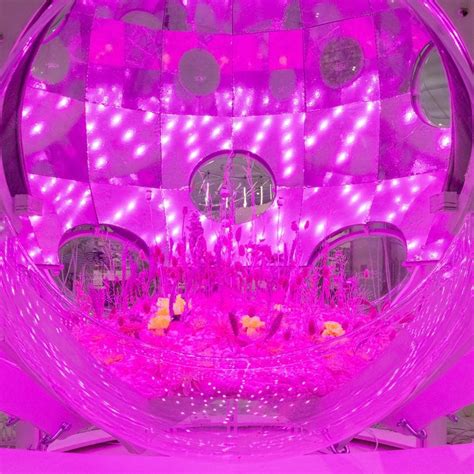 China To Launch One Kilometre Wide Solar Farm Into Space