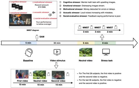 論文レビュー Eva Med An Enhanced Valence Arousal Multimodal Emotion