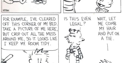 Savvy And Sage Calvin And Hobbes Lying Cameras