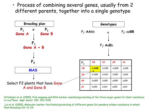 Marker Assisted Selection Pdf
