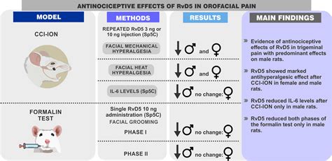 Sex Dimorphism In Resolvin D5 Induced Analgesia In Rat Models Of