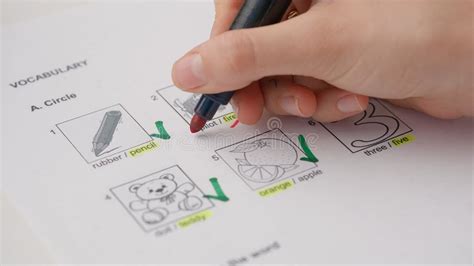 Professional School Or College Teacher Grades A Homework Exam Papers Of