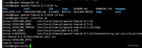 centos下前后端分离项目（vue springboot）的详细部署过程（初学者，简易版） centos7 shell脚本部署