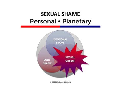 Releasing Sexual Shame Michael H Hallett