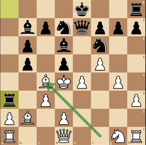 Rook B1 Rook B1 Ranarchychess