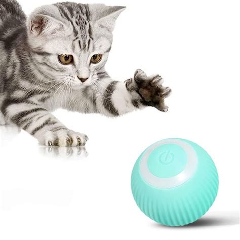 고양이 공 추천 제품 10가지 장난감 공을 좋아한다면 비마이펫 라이프