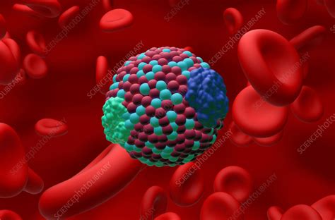 Low Density Lipoprotein Illustration Stock Image F043 8569 Science Photo Library