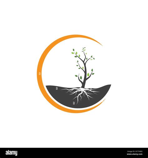 Tree Branch Vector Illustration Design Template Stock Vector Image