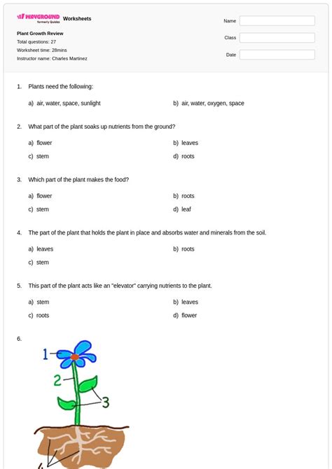 50 Plant Growth Worksheets For Year 1 On Wayground Free And Printable