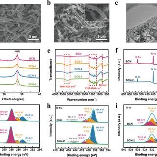 A Photograph Of SCN Membrane And After Bend With Tweezers SEM Download Scientific Diagram