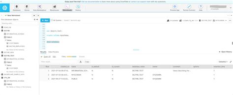 how to alter the schema in the database in snowflake