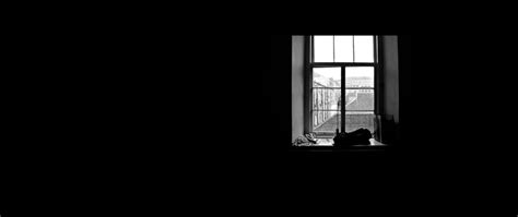 The Power Of Css Propertiesvariables And Dark Mode Dev Community