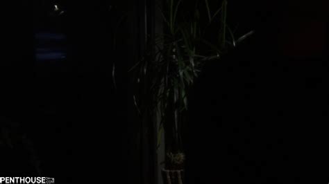 Carmel Moore Nick Manning Uniform Behavior