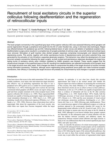 Pdf Recruitment Of Local Excitatory Circuits In The Superior