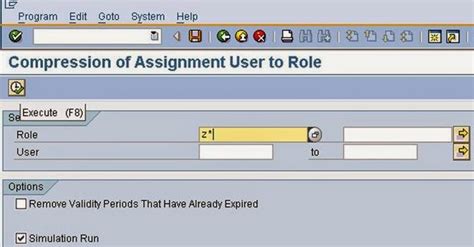 Time 4 Sap Security How To Remove Duplicate Roles
