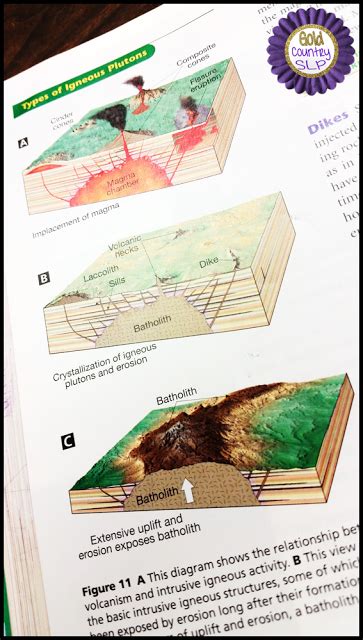 Tips Tricks For SLPs GoldCountrySLP