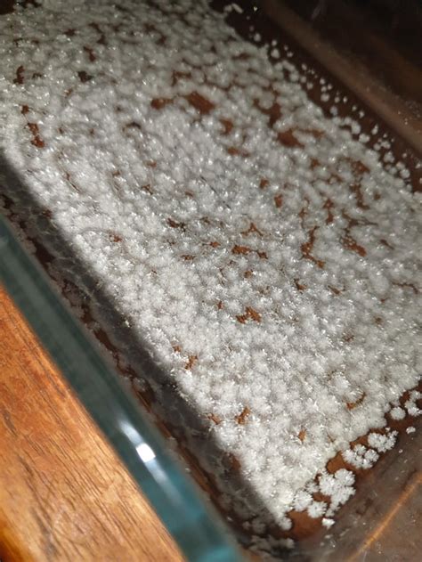 Beautiful White Dmt Crystals Rdmtporn