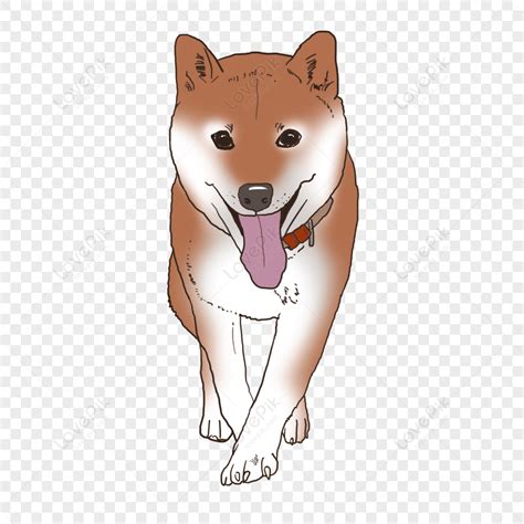 시바 이누 Png 일러스트 무료 다운로드 Lovepik