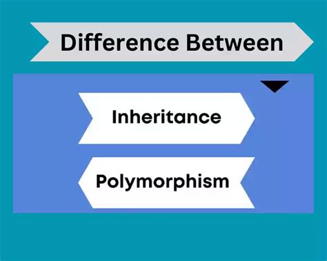 Difference Between Polymorphism And Inheritance Productive Difference