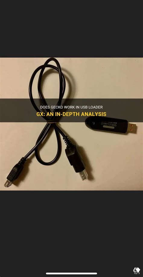 Does Gecko Work In Usb Loader Gx An In Depth Analysis PetShun