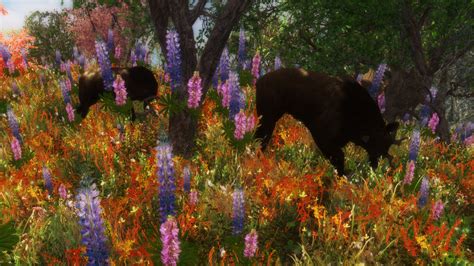 scenery navmeshing and the frustration of learning scripting fizzybutt s blog loverslab