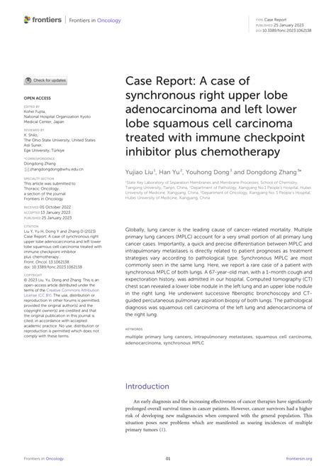 Pdf Case Report A Case Of Synchronous Right Upper Lobe