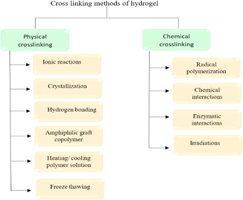 Schematic Representation Of Hydrogel Cross Linking Download Scientific Diagram