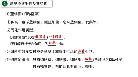 1 2 2 原核细胞和真核细胞课件 共26张ppt，含1个视频 21世纪教育网 二一教育