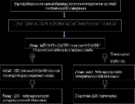 Бүдүүн гэдэсний шархлаат үрэвслийн эмнэлзүйн удирдамж By Buyantmanal Uemt Issuu