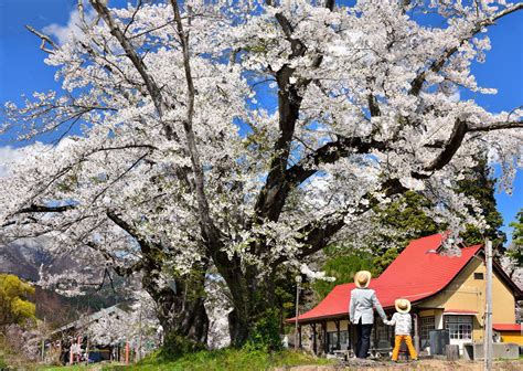 道の駅ふれあいパーク喜多の郷 ふくしまの旅