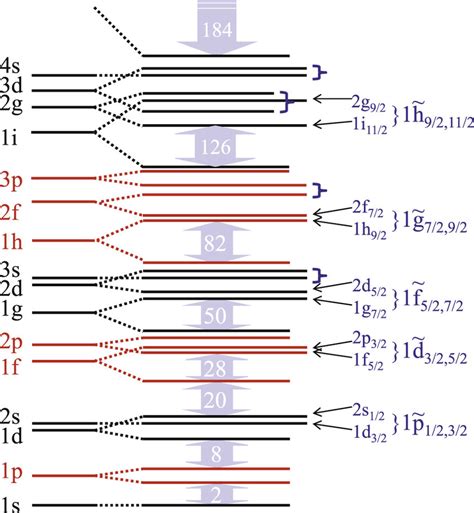 Schematic Nuclear Single Particle Spectrum On One Hand The Strong