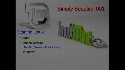Linux Mint Simply Beautiful Login Shutdown And Command Terminal Cli