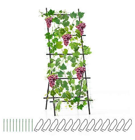 Galaxera 74 Garden Cucumber Trellis For Plant Climbing W Pe Coated