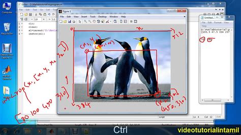 Matlab Image Processing Tutorial In Tamil Crop A Image Youtube