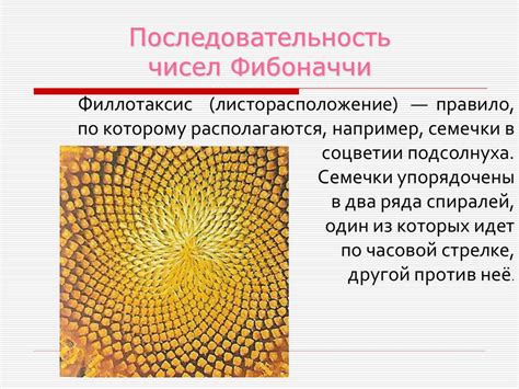 Числовая последовательность Способы задания последовательности Предел числовой
