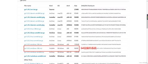 1 Go语言go语言开发包安装及goland的安装激活go激活 Csdn博客