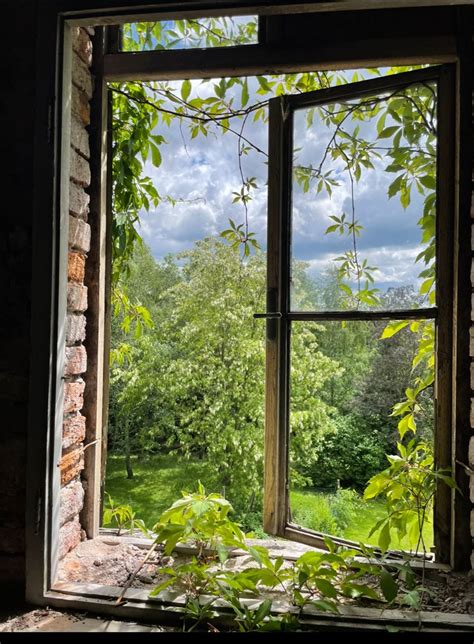 Window With A View
