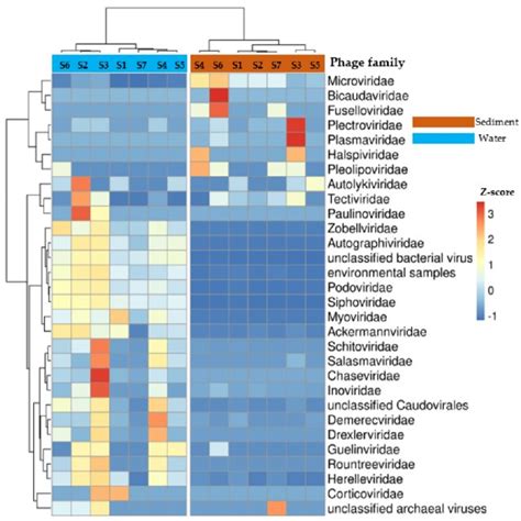 Hierarchical Heatmap Representing The Relative Abundance Of The Main Download Scientific