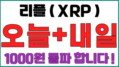 리플코인 오늘내일 1000원 돌파 합니다 불독코인프리세일코인시바이누코인리플이더리움도지코인코인단타사면가